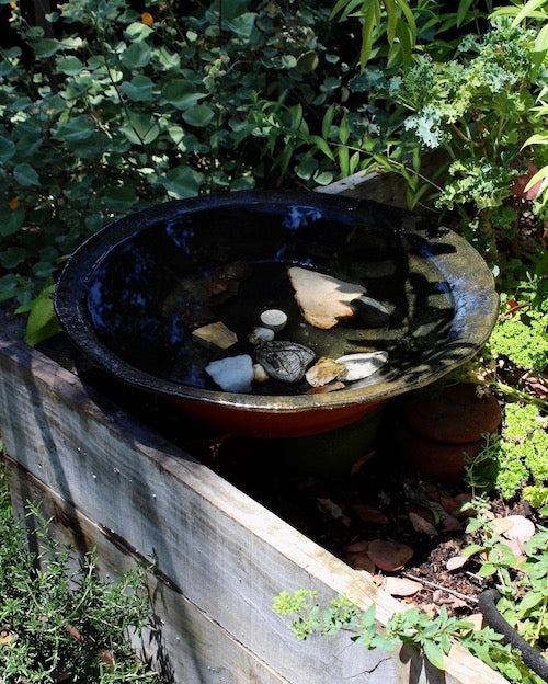 Sooki Studio – Sooki Studio LLC